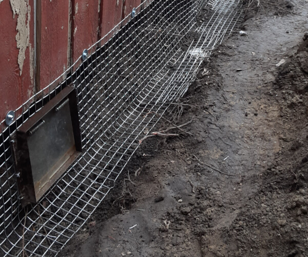 Skunk Removal Kitchener - Professional Skunk Control Services